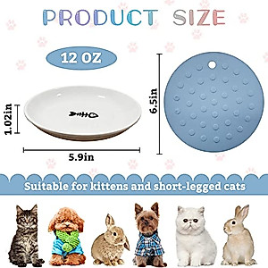 BNOSDM 3 Pcs Ceramic Cat Bowl Shallow Kitten Dishes with Anti-Slip Mat Whisker Fatigue Free Pet Plates for Indoor Small Cat Puppy