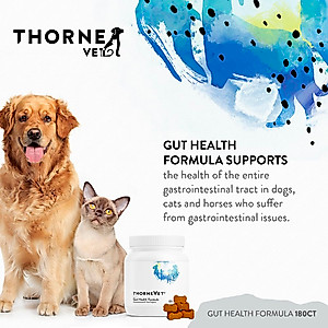ThorneVet Gut Health Formula – Gastrointestinal Support for Dogs, Cats & Horses, 180 Soft Chews