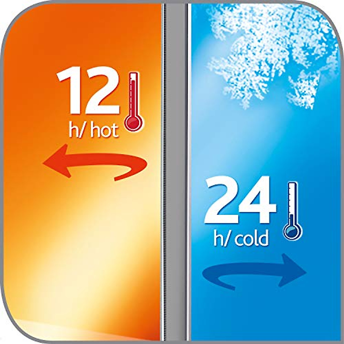 Emsa Plaza  Flask Plastic ABS, 1 Litre, Silver