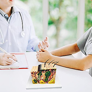 Veipho Skin Anatomy Model, 35X Enlarged Human Skin Layer Structure Anatomical Model with Stand and Hair for Teaching