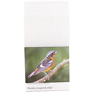 Audubon Birds Page-A-Day Calendar 2022