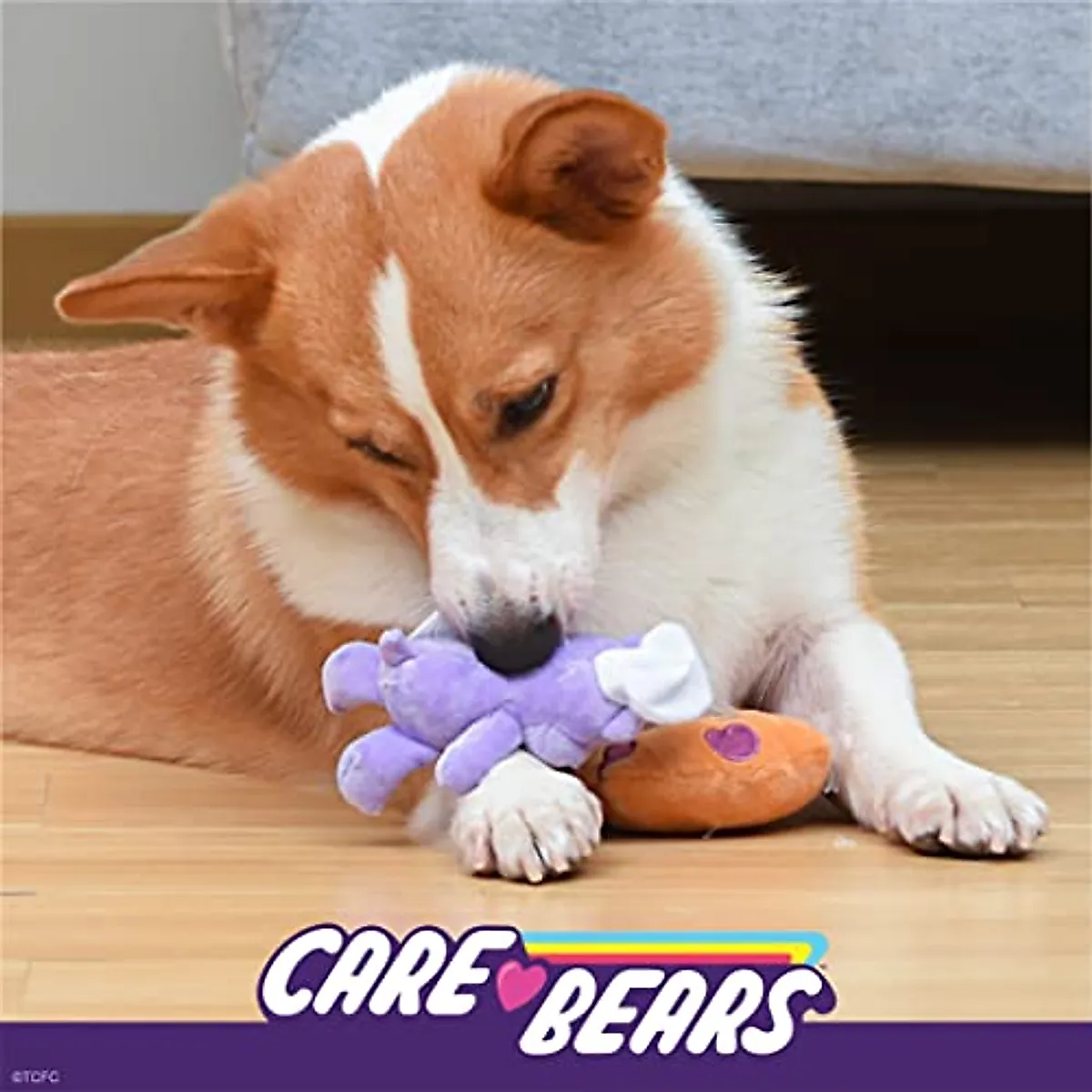 Care Bear for Pets 2PC Set Share Bear Squeaker Flattie Plush Dog Toy With Crinkle Texture Cookie, 4" Small Collectible Toy (FF20238)