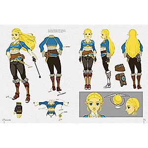 The Legend of Zelda: Breath of the Wild--Creating a Champion