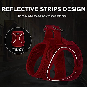 PetiFine Step in Small Dog Harness and Leash Set, Breathable All Weather Air Mesh Reflective Escape Proof, Step-in Vest Harnesses for Puppy(XS, Red)