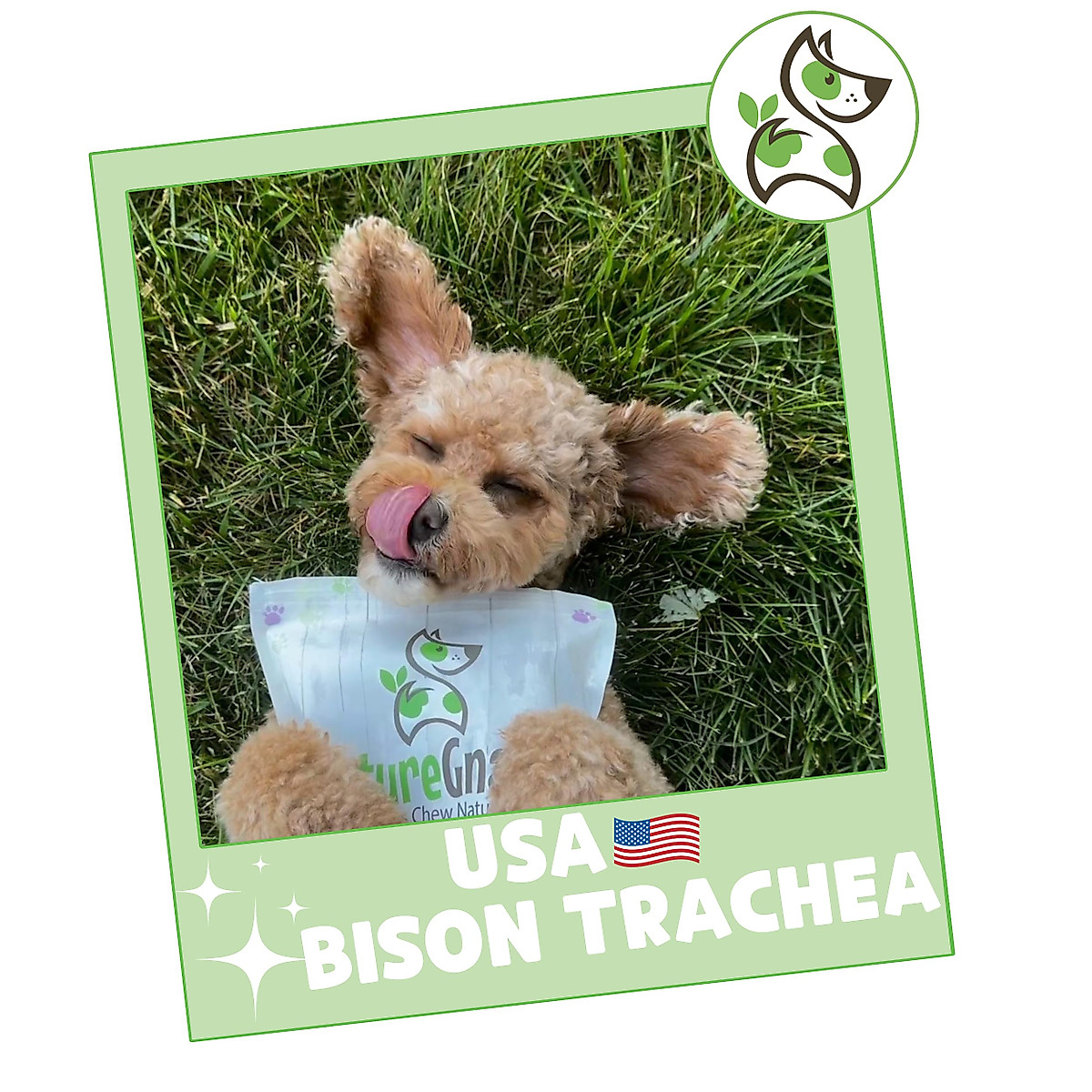 Nature Gnaws USA Smoked Bison Trachea Rings for Dogs (1Lb) – Delicious Grain Free Long Lasting Chew - Premium Natural Dog Chew Bones - Rawhide Free