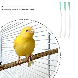 Parrot Feeding Syringe Birds Feeding Hoses, soft birds feeding hose 3pcs Parrot Feeding Hose Tool Birds Feeding Dropper Feeding birds feeding accessory Tube bird feeder Pet Feeder