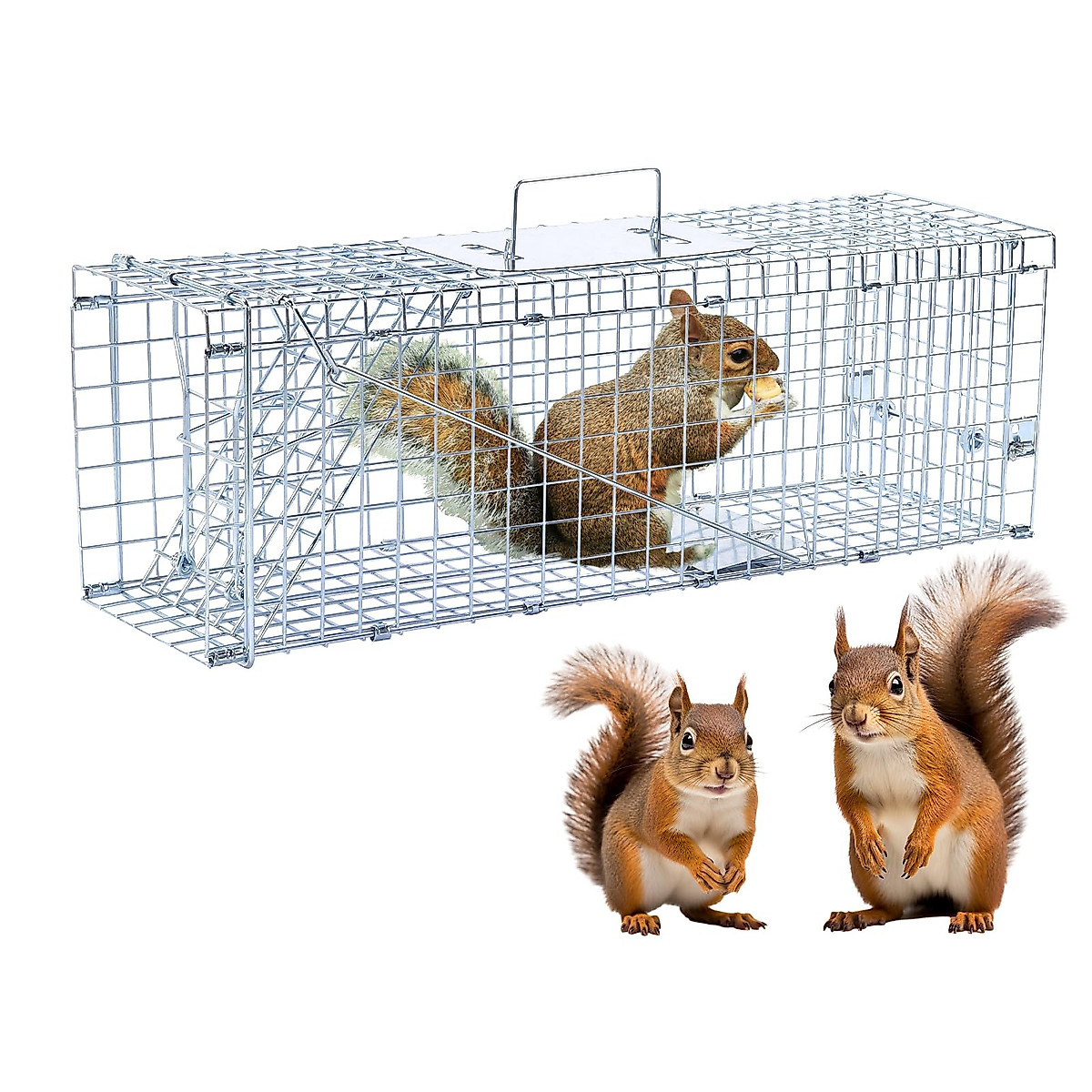 24" Live Animal Trap, Humane Animal Trap for Stray Cats up to 5.5 pounds, Raccoons, Squirrels, Skunks, Moles, Marmots, Armadillos, Rabbits, Steel Folding with Pedal Trigger