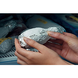 Brother P-touch, PT1230PC, PC-Connectable Label Maker, No Software Needed, Four Different Label Widths, Compact Design, White