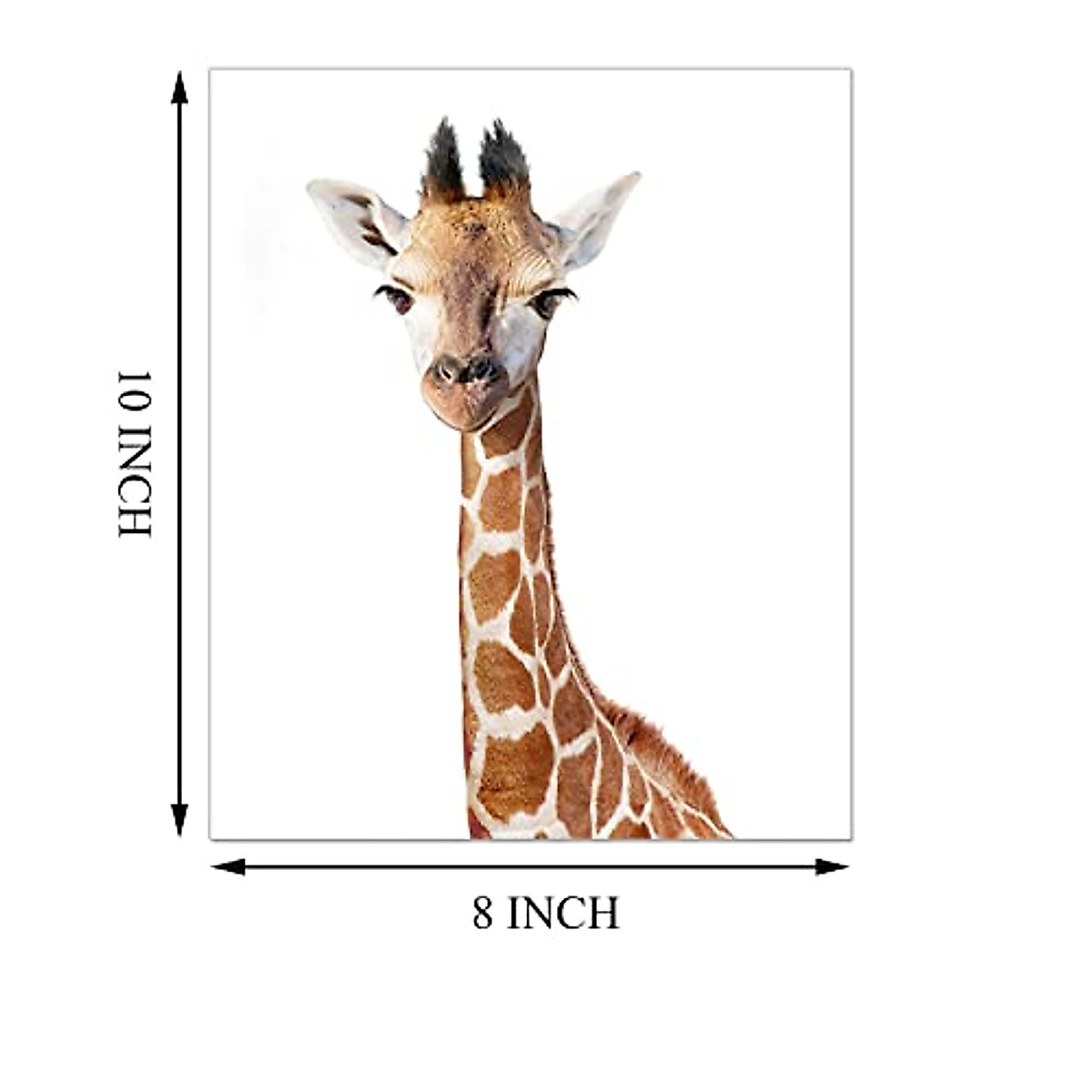 Set of 6 Baby Safari Nursery Wall Decor - Picture Cute Animal Wall Prints on Canvas, under 20 dollars gifts for Baby Boys and Girls Room, UNFRAMED Wall Art(8 x 10 inch)