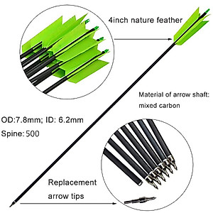 AMEYXGS Archery Flu Flu Arrows and Judo Arrow Heads 30 Inch Mix Carbon Arrow Spine 500 with 4 Turkey Feather for Compound Bow Recurve Bow Competition and Target Practice (Green 1#)