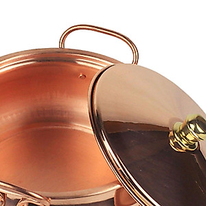 Fenteer Copper Pot for Stovetop, Induction Beautiful Shape Cooking Pot with Lid Saucepan Copper Cookware Hot Pot for Restaurant Home, 20cm