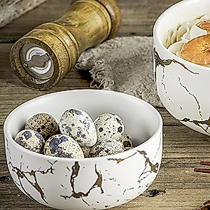 LUCCK Ceramic Cereal Bowl Marble Soup Bowl 17 OZ Ceramic Rice Bowl Luxury Gold Inlay Dessert Bowl Microwave and Dishwasher Safe for Oatmeal Snack (White)