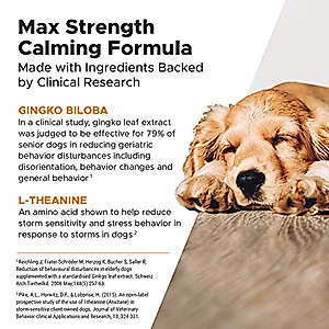 PetHonesty Hemp Calming Max Strength Chews for Dogs - All-Natural Soothing Snacks with Hemp + Valerian Root, Dog Stress & Dog Anxiousness - Helps Aid with Thunder, Fireworks, Chewing & Barking (Duck)