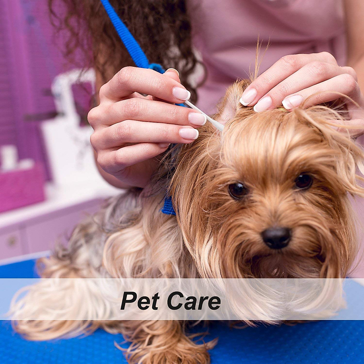 800 Pieces Cotton Swabs, Double Tipped Precision Tips Cotton Buds Spiral Head Multipurpose Safe Highly Absorbent Hygienic Cleaning Sterile Sticks (4 Packs, 200 Pcs, 1 Pack)