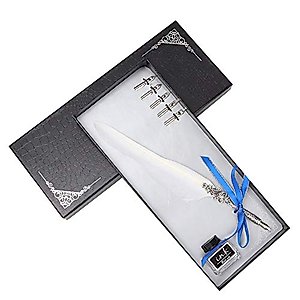 Vikye Quill Pen, English Calligraphy Retro Feather Quill Dip Pen Fountain Pen Sign Pen Set Stationery Gift (White)