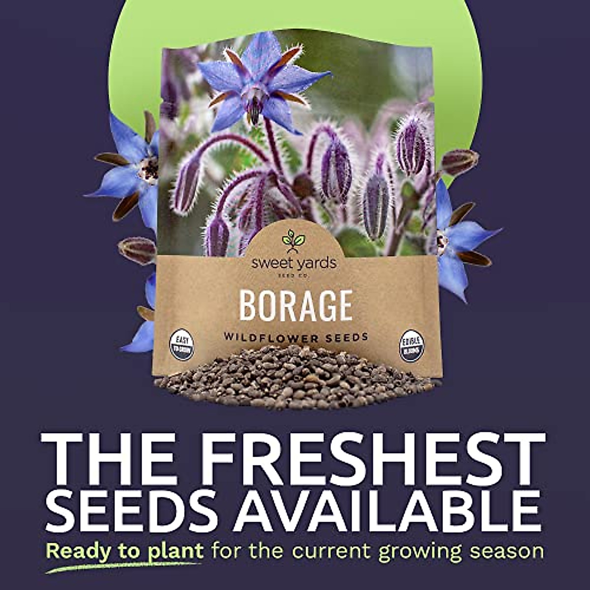 Sweet Yards Seed Co. Borage Seeds – Extra Large Packet – Over 1,200 Open Pollinated Non-GMO Wildflower Seeds – Borago officianalis