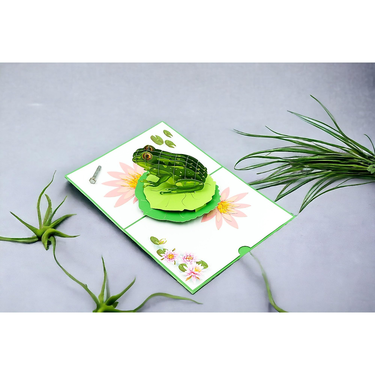 Rykamia Green Frog Pop Up Card, Blank Frog Card With Envelop, Frog Birthday Card, Frog Card for Kids, Frog Gift, Just Because, Get Well Soon, Frog Thank You Card, Frog Card For Mom, Wife, Daughter