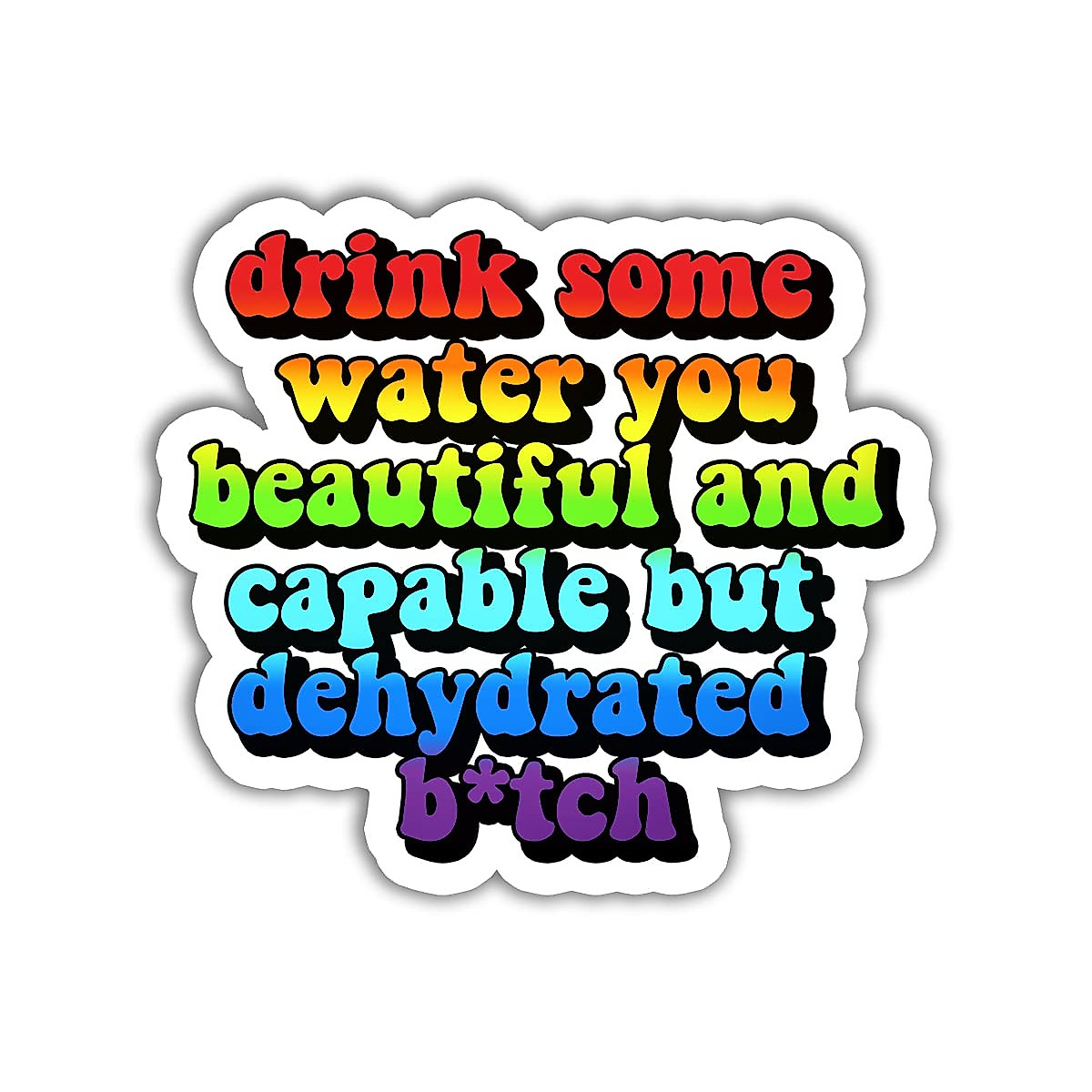 3 Pcs - Drink Some Water You Beautiful and Capable But Dehydrated Bitch Sticker Drink Some Water Sticker for Waterbottles Laptops Notebooks Cell Phones Bumpers Windows Locker A3