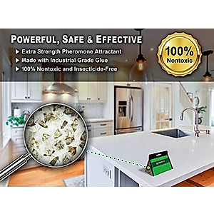 MaxGuard Pantry Moth Traps (4 Traps Trial Pack) Extra Strength Pheromones | Non-Toxic Sticky Glue Trap for Food and Cupboard Moths in Your Kitchen | Trap and Kill Seed Grain Flour Meal Moths |