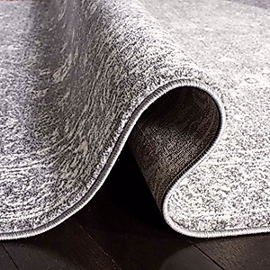 SAFAVIEH Evoke Collection 4' x 6' Grey/Ivory EVK270S Shabby Chic Distressed Non-Shedding Living Room Bedroom Accent Rug