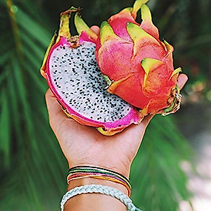 Pura Vida Hakuna Matata Single Bracelet - Handcrafted - 100% Waterproof Wax Coated Accessories