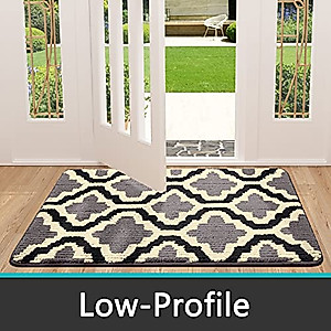 Kitinjoy Indoor Door Mat, Non-Slip, Absorbent, Dirt Resist, Entryway Mat, Low-Profile Inside Welcome Front Doormats for Entrance(32x20 inches, Grey)