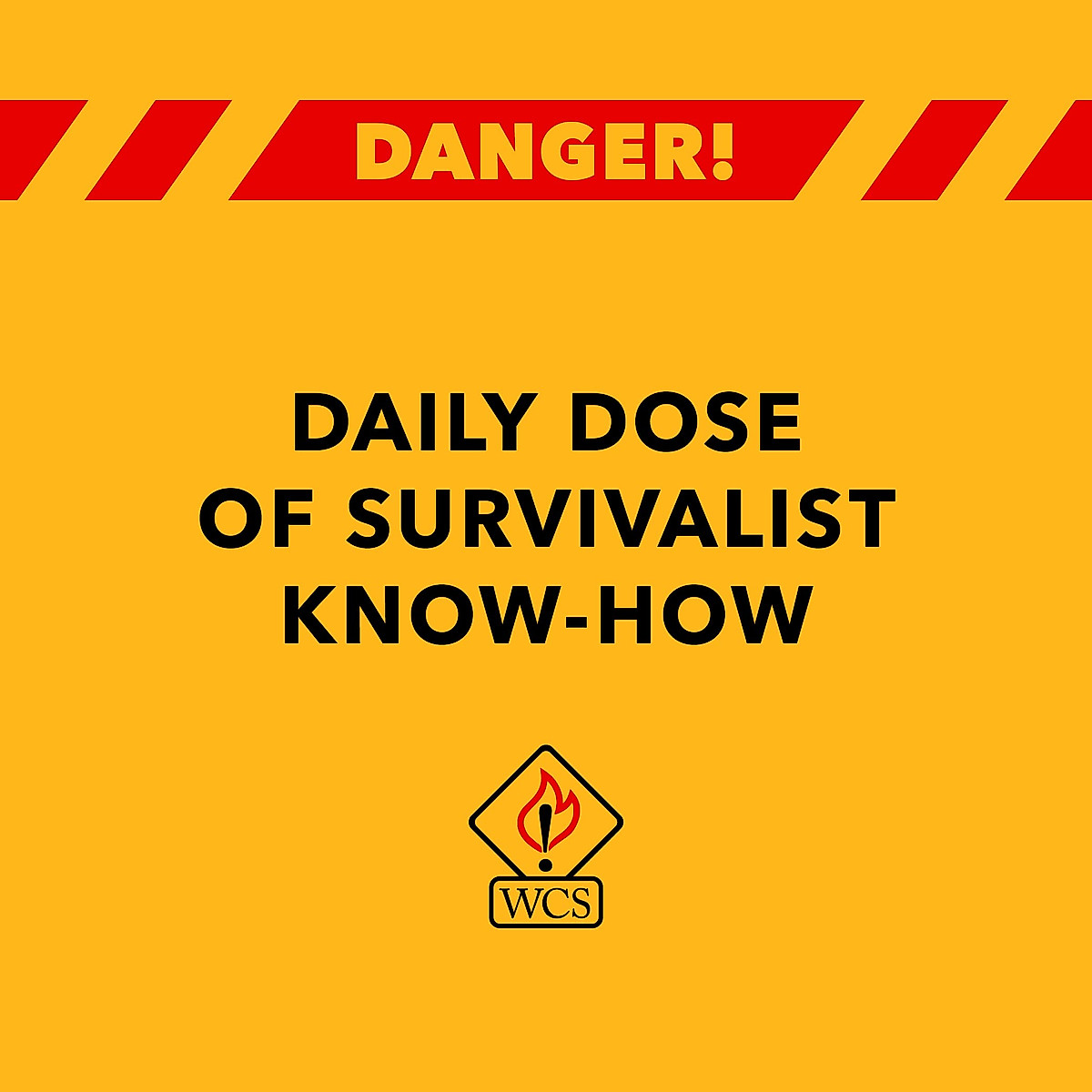 Worst-Case Scenario 2023 Daily Survival Calendar