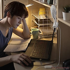 Lrufodya Monitor Clip on Fan Mini Clip Fan, Desktop Fan with 3 Speeds Strong Wind Office Fan for Girls Women, Table Fan with Sturdy Adjustable Clamp, Small Fan USB Fan for Office (Cherry Pink)