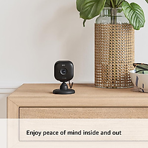 Blink Mini 2 (Newest Model) + Weather Resistant Adapter — Indoor/Outdoor Home Security & Pet Camera(s) with HD video, motion detection, and built-in spotlight — 2 cameras (Black)