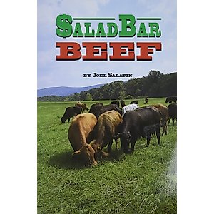 Salad Bar Beef