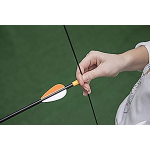 Bear Archery Crusader Bow for Youth, Recommended Ages 9-12, Ambidextrous, Continuous Draw Weight Up to 20 lb., Continuous Draw Length Up to 28-inches