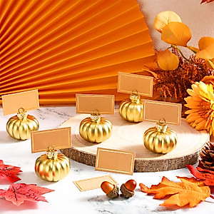 Soaoo 24 Set Thanksgiving Glass Harvest Pumpkin Place Card Holders with Thanksgiving Greeting Cards Fall Pumpkin Decor Table Name Holders Table Sign Card Holder for Thanksgiving Wedding Party (Gold)