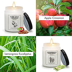 Candles, Apple Cinnamon and Lemongrass Eucalyptus Candles for Home Scented, 2 Pack Candles Gifts for Women, 15 oz Soy Candle, Scented Candles Gifts Set for Mother's Day, Valentine, Christma's Gifts…