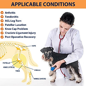 Huimpet Dog Knee Leg Brace, Dog ACL Brace for Back Hind Rear Leg, Dog Leg Support Brace for Torn ACL Tear, Luxating Patella, Hip Dysplasia and Dog Arthritis, Adjustable (Large)