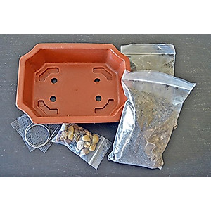 9GreenBox - Bonsai Potting Kit