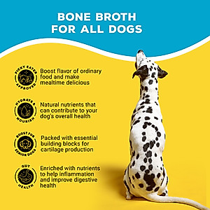 Brutus Bone Broth for Dogs - Bone Broth Powder with Chondroitin Glucosamine & Turmeric - Human Grade Dog Food Toppers for Dry Food & Picky Eaters - 10 Stick (Beef)