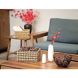 Ellinia Handmade Woven Seagrass Wicker 11.8 x 8.85 x 6.1 Inch Basket for Storage - Bar, Hotel, Pantry, Restaurant, Table Organizer, Bohemian Style, 3-Pack, Natural Seagrass Color