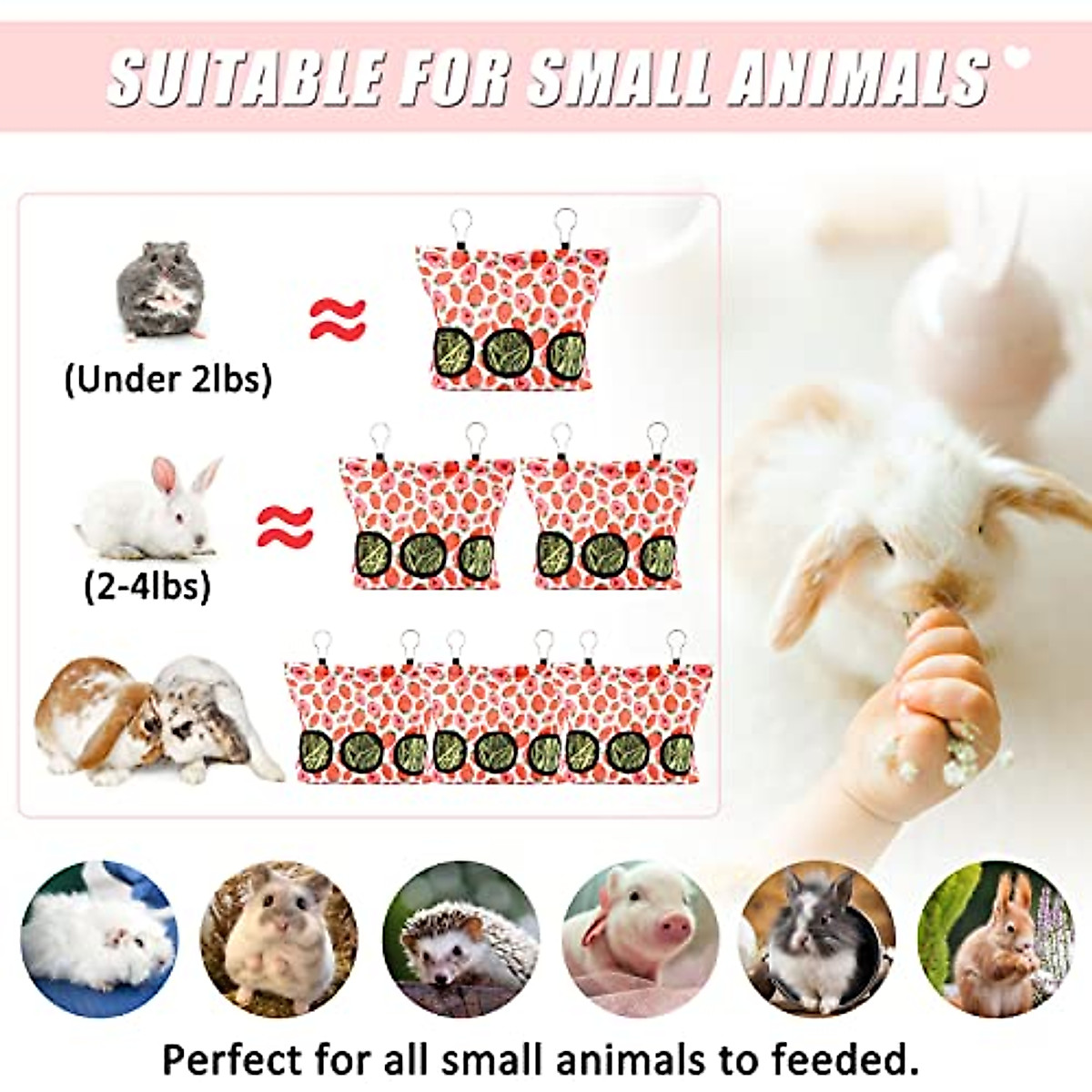 2 Pieces Rabbit Hay Feeder Bag, Guinea Pig Hay Feeder Storage Bunny Hay Bag Hanging Feeder Bag for Rabbits with 3 Holes Large Capacity for Small Animal (Strawberry+Avocado)