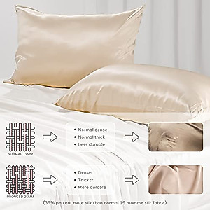 PROMEED Highest Grade 6A Mulberry Silk Pillowcase 25 Momme for Hair and Skin, Both Sides Premium Pure Silk, Anti-Allergy, Anti-Frizz (Queen 20"x30", Champagne)