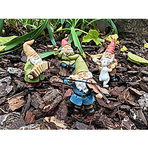 GlitZGlam Happy Gnomes Dancing Celebration! - 4- Piece Musical Garden Gnome Set for The Miniature Fairy Garden