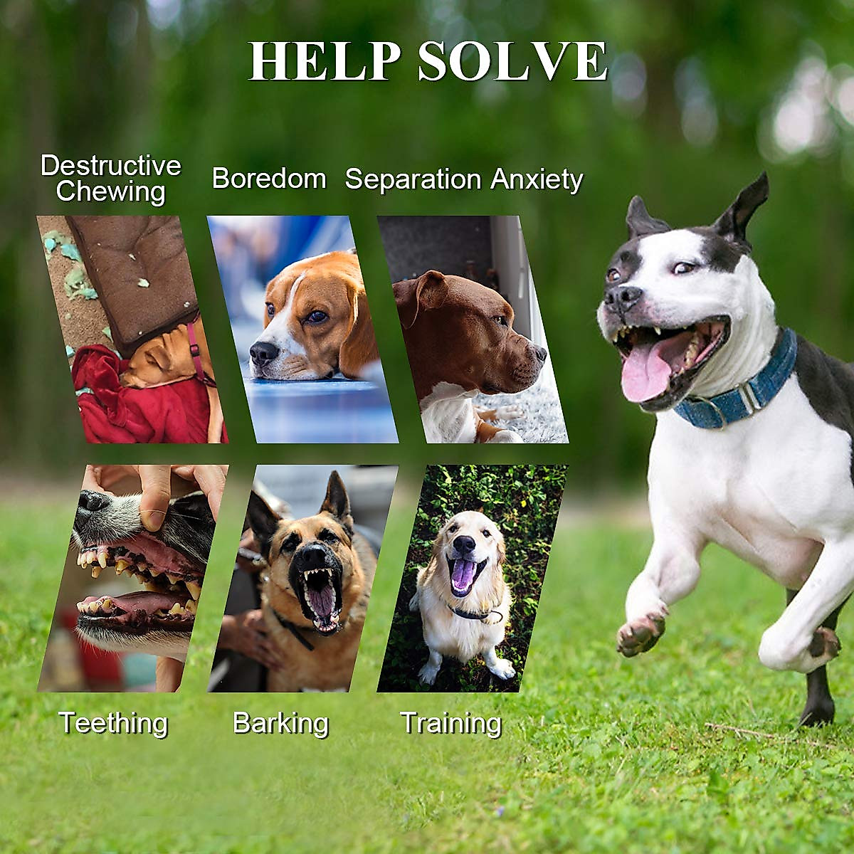 Wieppo Squeaky Dog Toys for Aggressive Chewers Large Breed, Medium Dogs, Natural Durable Rubber Dog Chew Toys