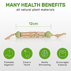 XanderPets Cat Chew Stick - Matatabi Stick for Cat - Silvervine Chew Sticks for Cats - Cat Dental Sticks w/Cat Nips Organic - All Breeds 3PK