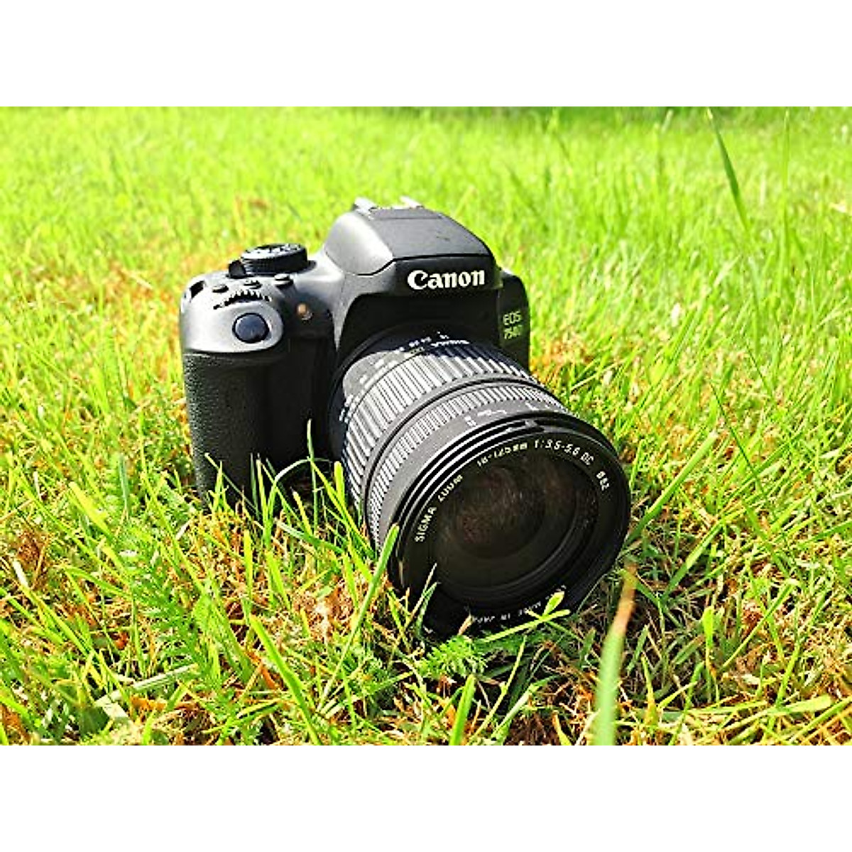 Home Comforts Dslr Canon Camera Lens Slr Eos 750d Sigma Eos-20 Inch By 30 Inch Laminated Poster With Bright Colors And Vivid Imagery-Fits Perfectly In Many Attractive Frames