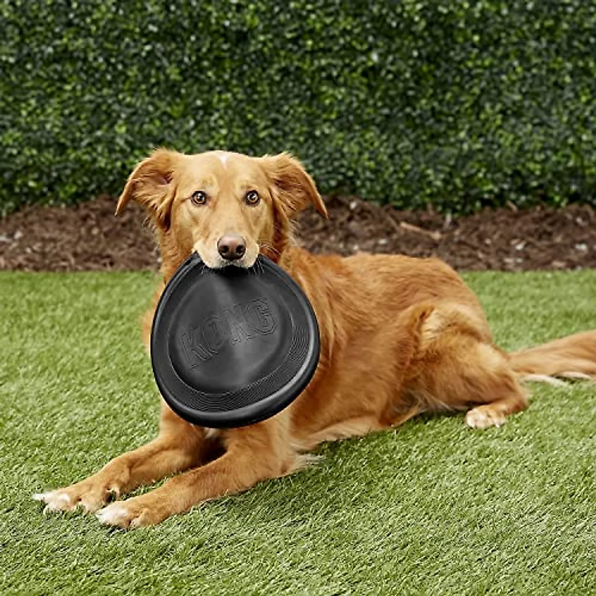 Kong Black Flyer - Rubber Dog Frisbee, Soft Rubber Dog Fetch Toy For Improving Dogs Mental & Physical Development, Teething, Exercising, Supports Bigger Breeds, Non-Toxic Soft Frisbee, Black (1-Pack)