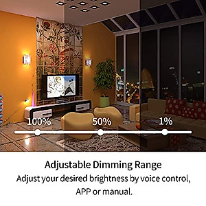 Smart Dimmer Switch with Remote Control, Avatar Controls Wi-Fi Light Switch Compatible with Alexa Google Home Assistant, in Wall, No Hub Required, Single Pole, Neutral Wire Needed