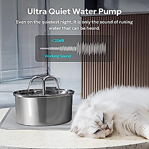 EOX Cat Water Fountain Stainless Steel, 3.2L/108oz Automatic Pet Water Fountain Dog Water Dispenser Water Bowl with 3 Replacement Filters, Ultra-Quiet Pump, 1 Waterproof Mat and 1 Cleaning Brush