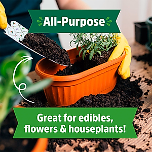 Back to the Roots 100% Organic Potting Mix (6 Quart) | Premium Blend | Made in The USA