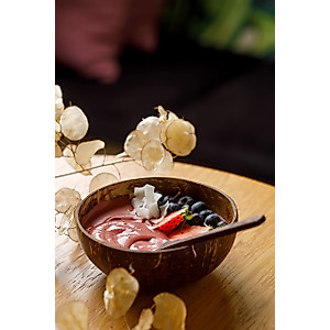 Vediverdi Coconut Bowl Set with Wooden Spoons and Forks, Reusable Bamboo Drinking Straws, and Cleaning Brushes, Natural Organic Shells for Soup, Cereal, Thai Noodles, Rice, and Food