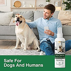 SUNTON Bitter Spray for Dogs to Stop Chewing Dog Deterrent Spray, Training Aid for Dogs, Puppies, Pet Behavior Corrector, No Chew Licking of Fur, Bandages, Wounds, Shoes and Furniture