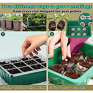 Plus Seed Starter Tray with Grow Light,5 Pack Seed Starter Kit,Increase Germination Rate&Adjustable Humidity&Reusable Seed Starter with Grow Light,Total 60-Cell Seed Starter Tray-Include Planting Kit